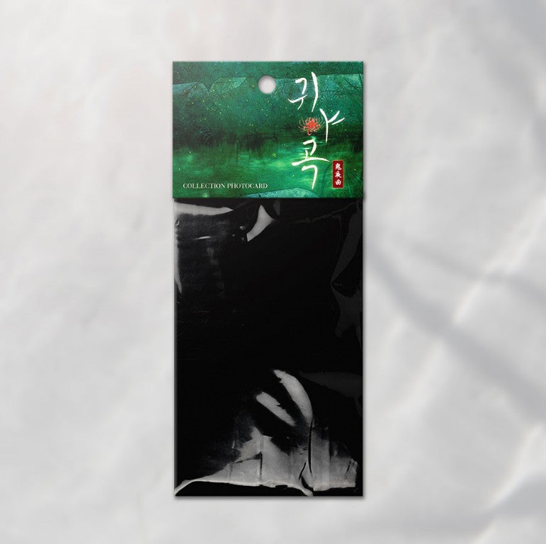 The Ghost's Nocturne : Collection Photo cards – nemo it store