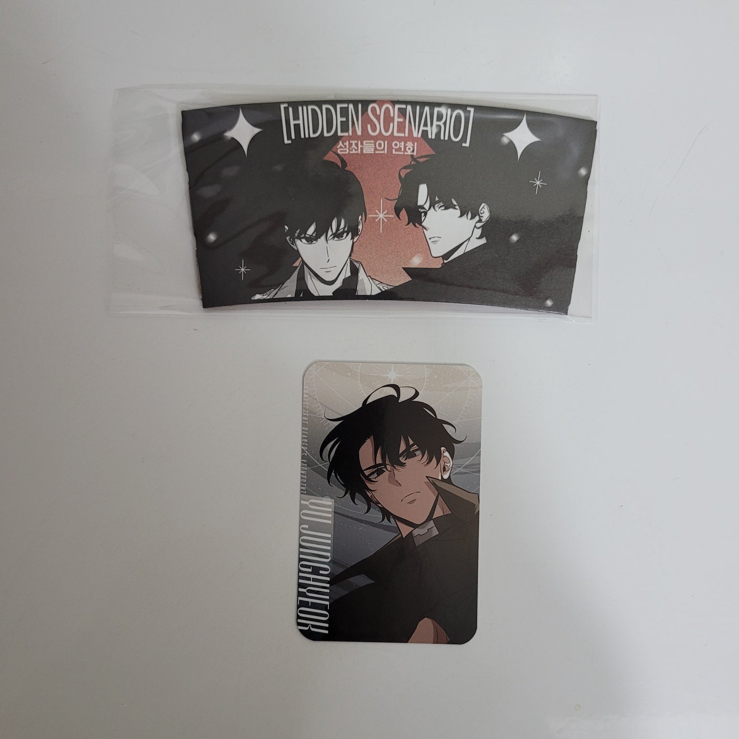 [NEMO MARKET] Omniscient Reader's Viewpoint : Cup Holder + photocard ...