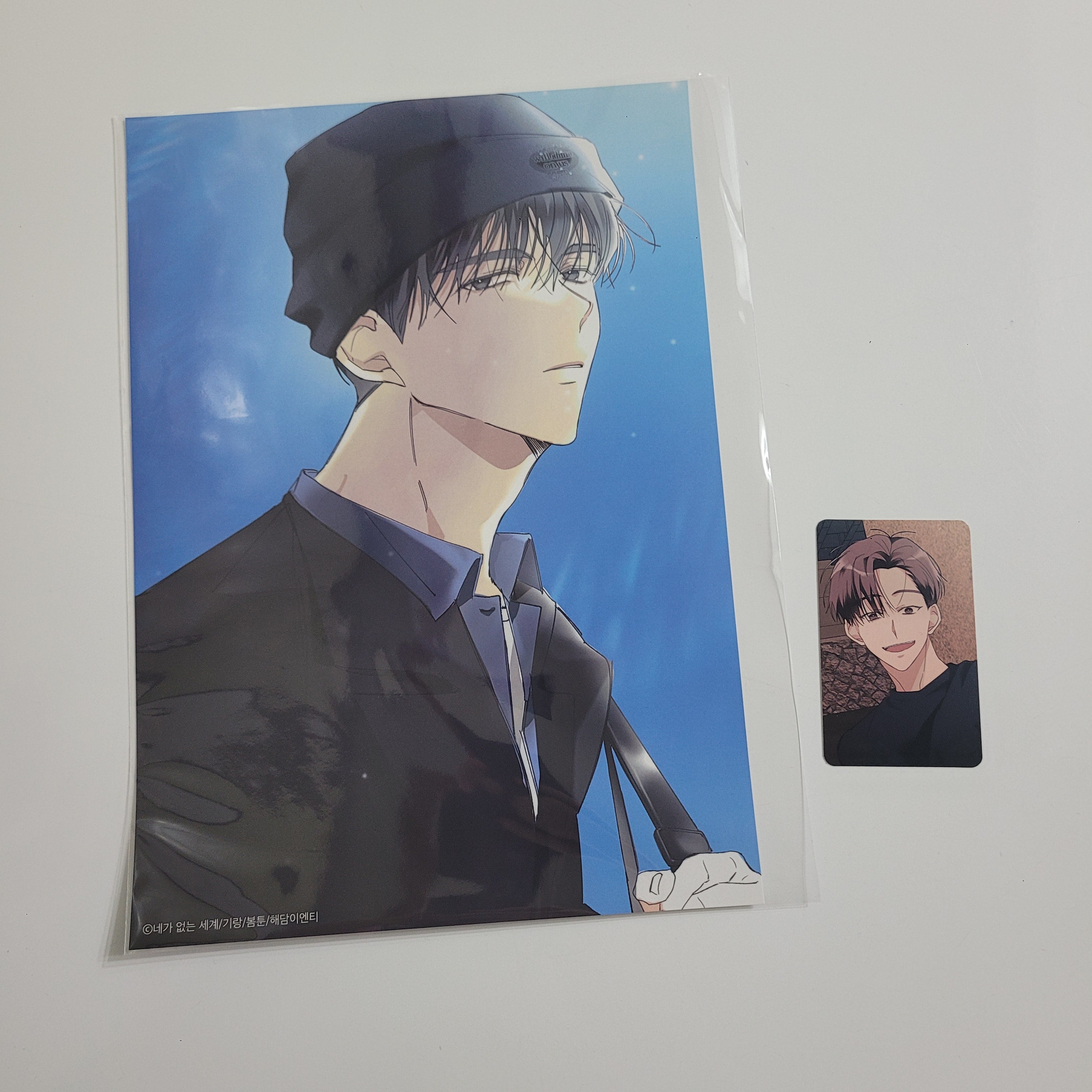 [NEMO MARKET] A World Without You : Poster & Photo card – nemo it store