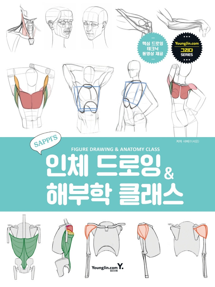 Figure Drawing & Anatomy Class by SAPPI, How to Draw Figure, Drawing B ...