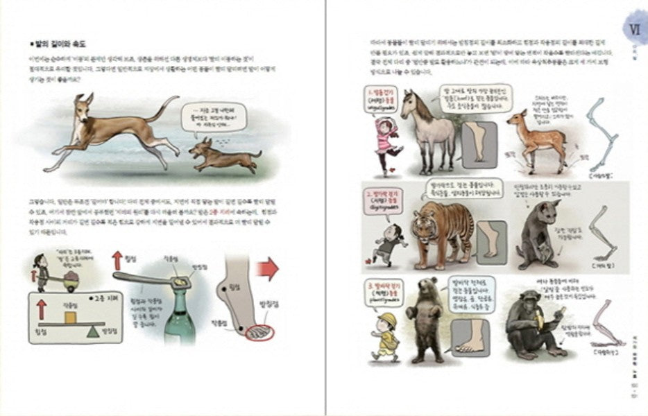 Stonehouse's Anatomy Note by Seok Jung Hyun Korea Drawing Guidebook ...